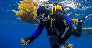 Beware Marine Heat Waves! – RADIO ECOSHOCK