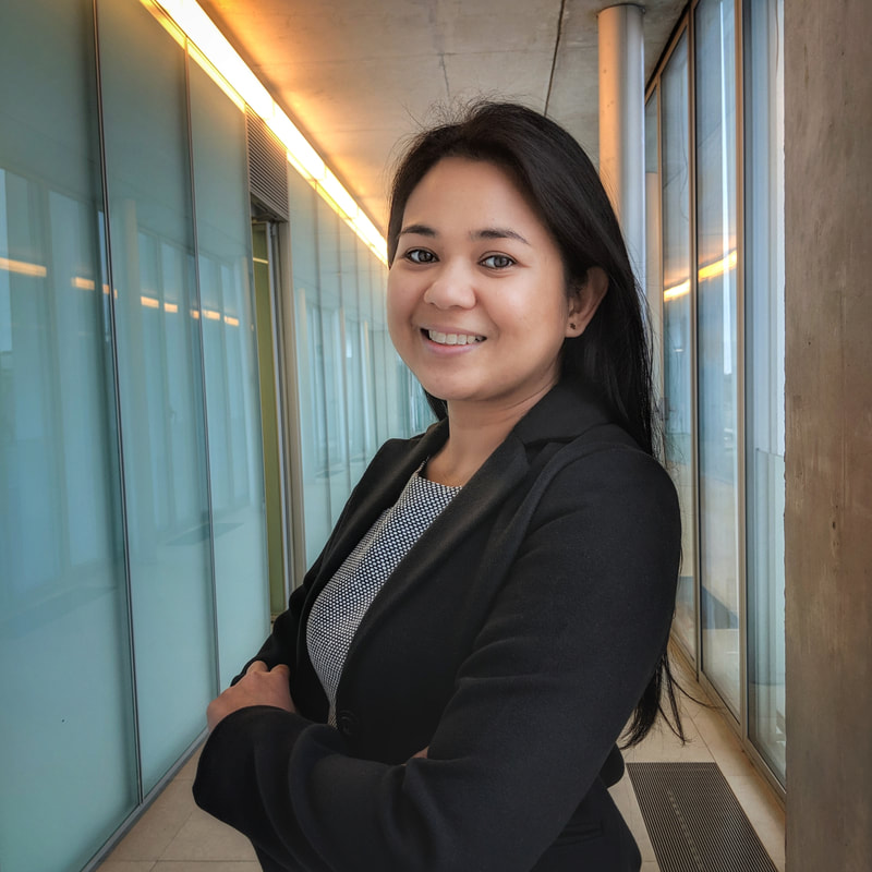 From Extinction to Climate Engineering – RADIO ECOSHOCK