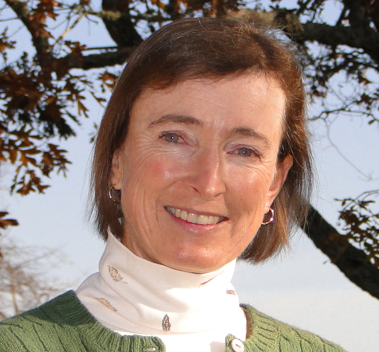 Hurricanes and Arctic Fires: A World Slipping Away Unnoticed – RADIO ...