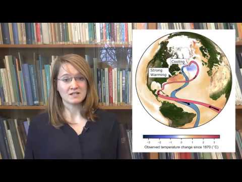 The Decade After Tomorrow – RADIO ECOSHOCK