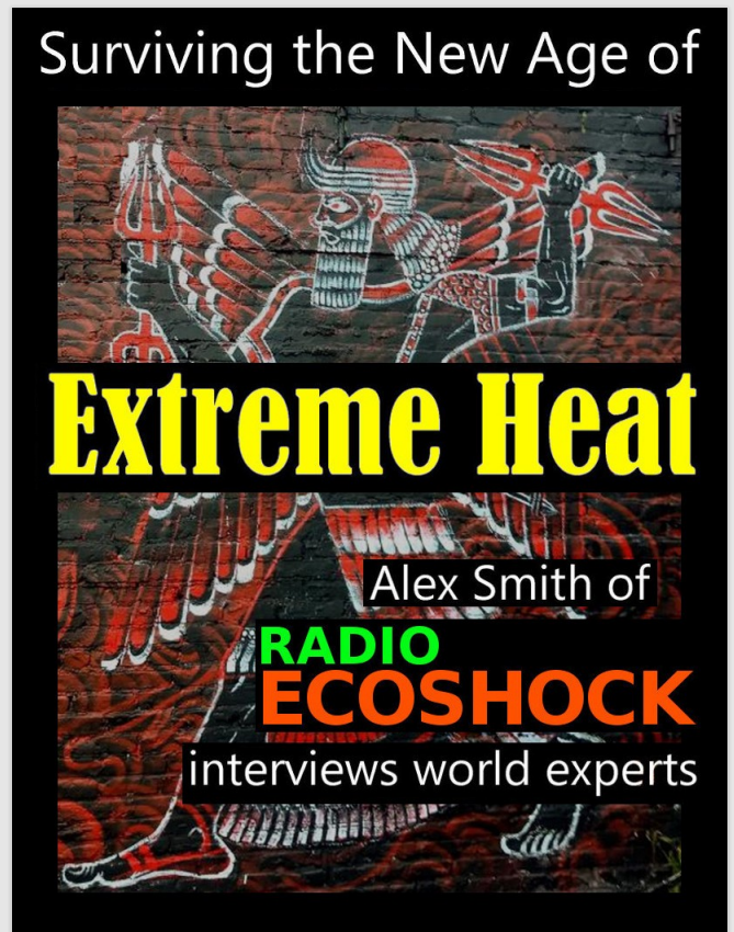 27 Ways Heat Can Kill You – Update 2024 – RADIO ECOSHOCK